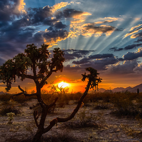 Arizona Golden Hour » Images Arizona
