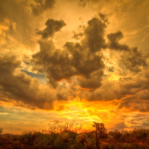 Arizona Golden Hour » Images Arizona