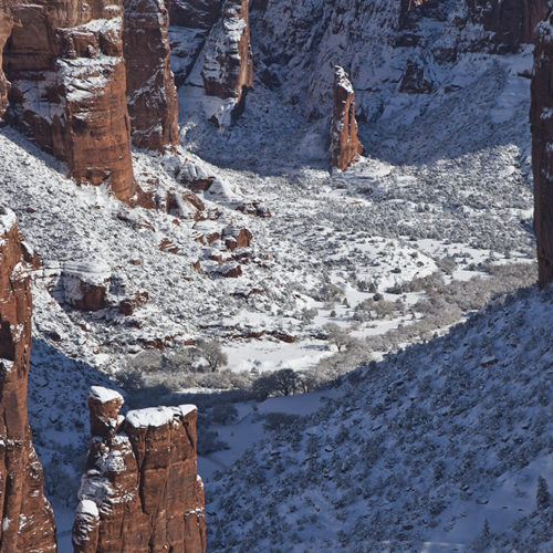 Magic of the Desert December Photo Essay - Images Arizona