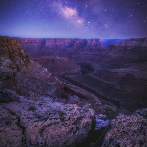 Magic of the Desert December Photo Essay - Images Arizona