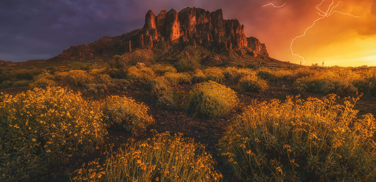 Magic of the Desert December Photo Essay - Images Arizona