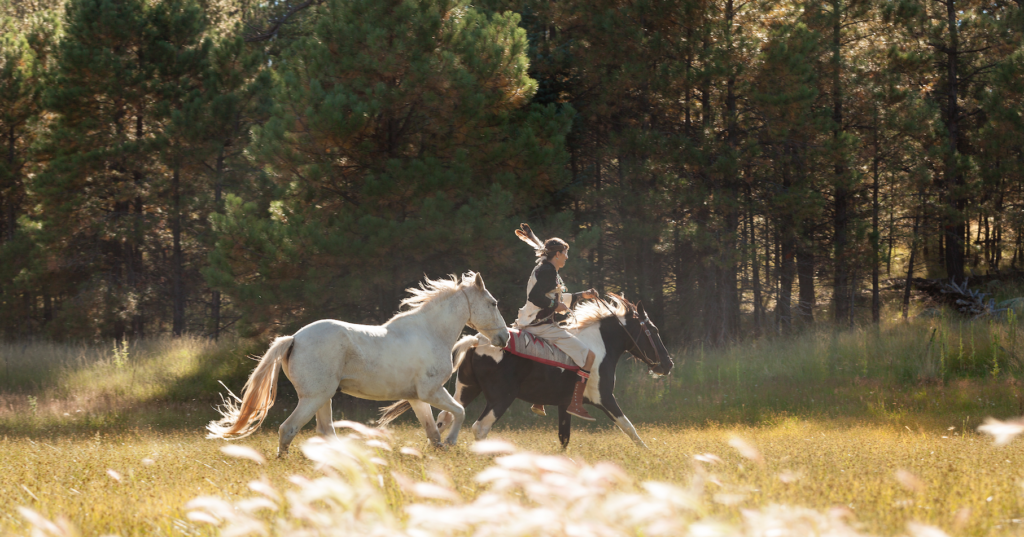 Native Pride » Images Arizona