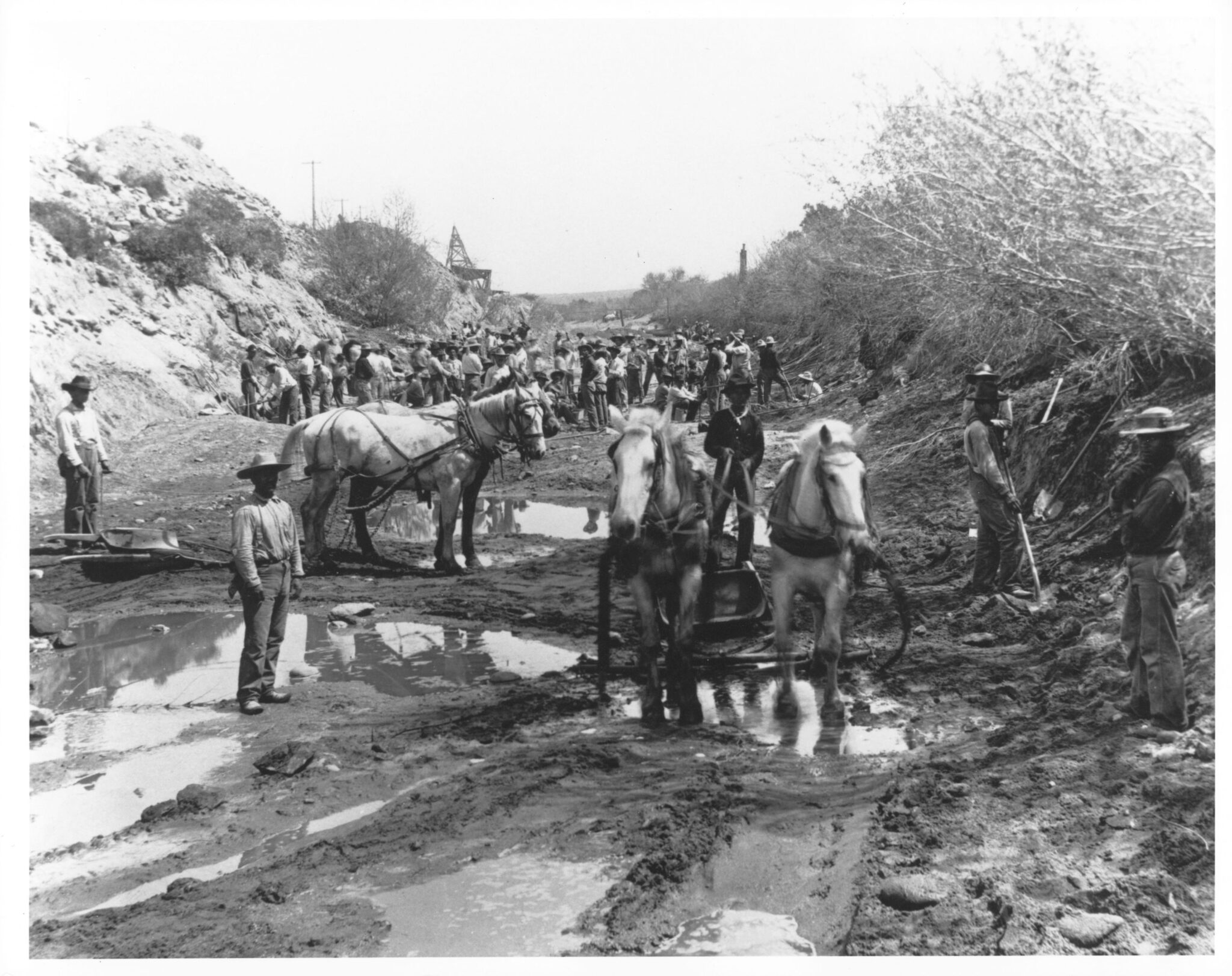 Equestrian Culture: A Horse History Course » Images Arizona