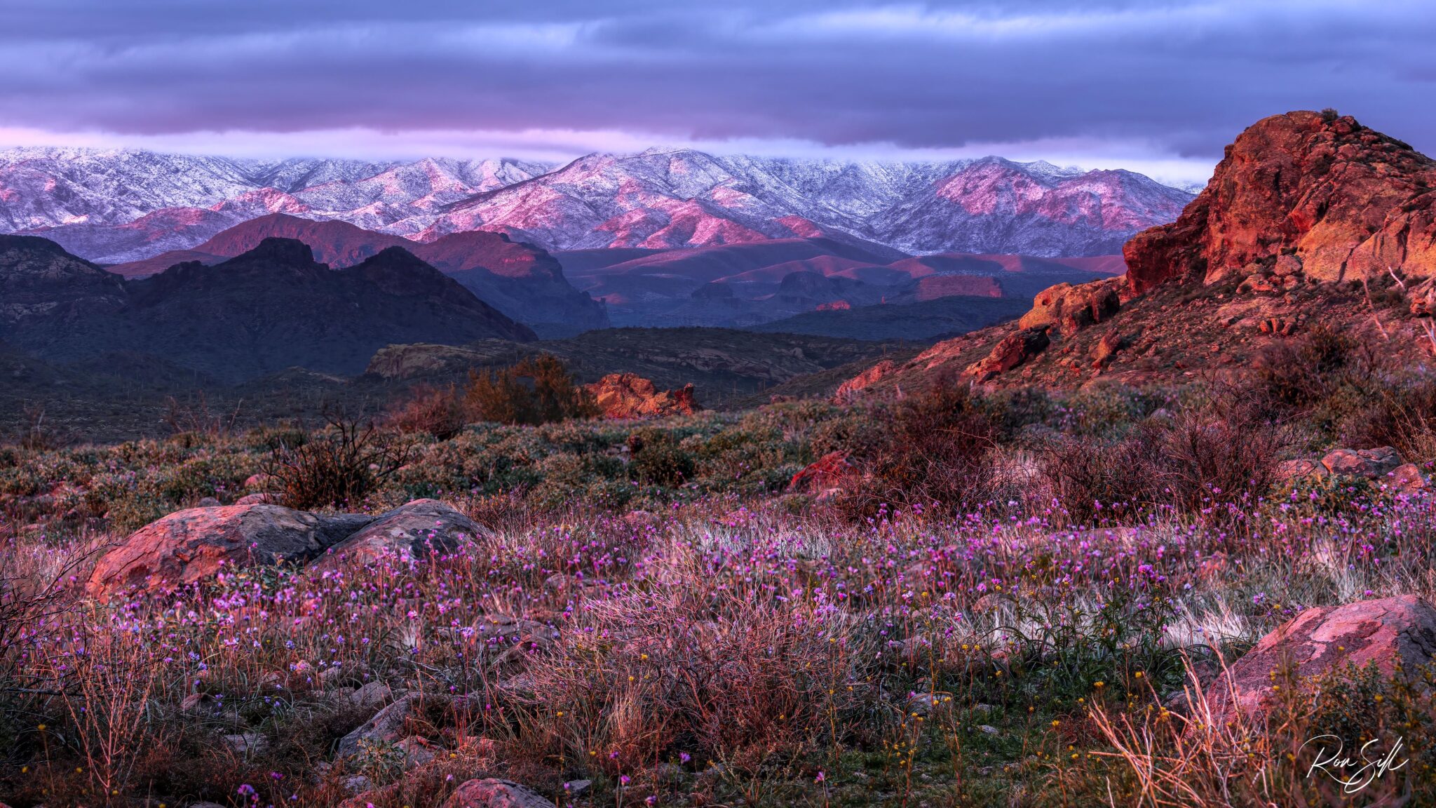 Four Peaks, Many Colors » Images Arizona