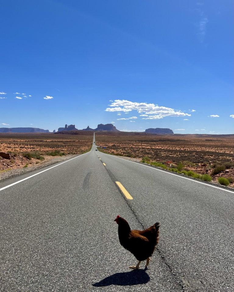 Instagrammable Arizona » Images Arizona