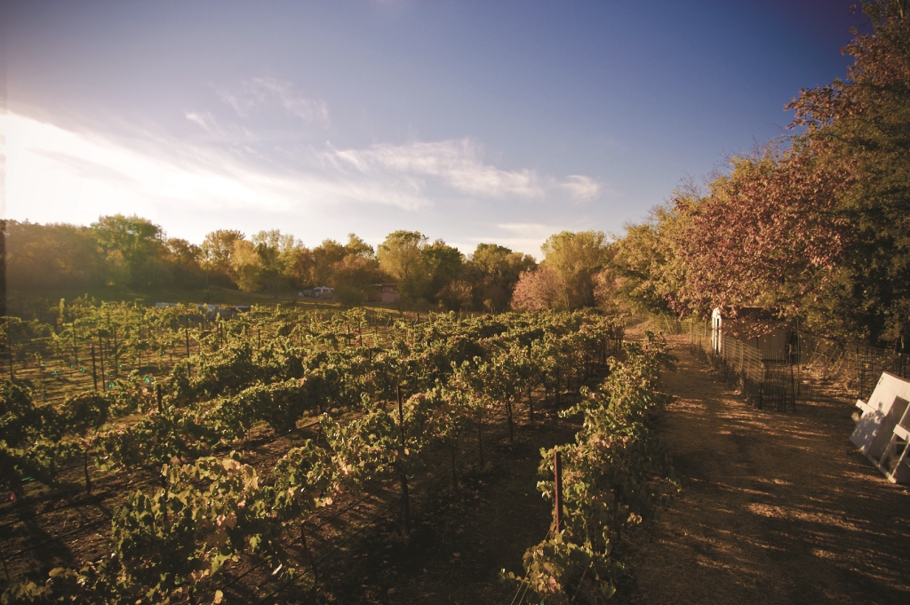 Swirl, Sip, Savor » Images Arizona