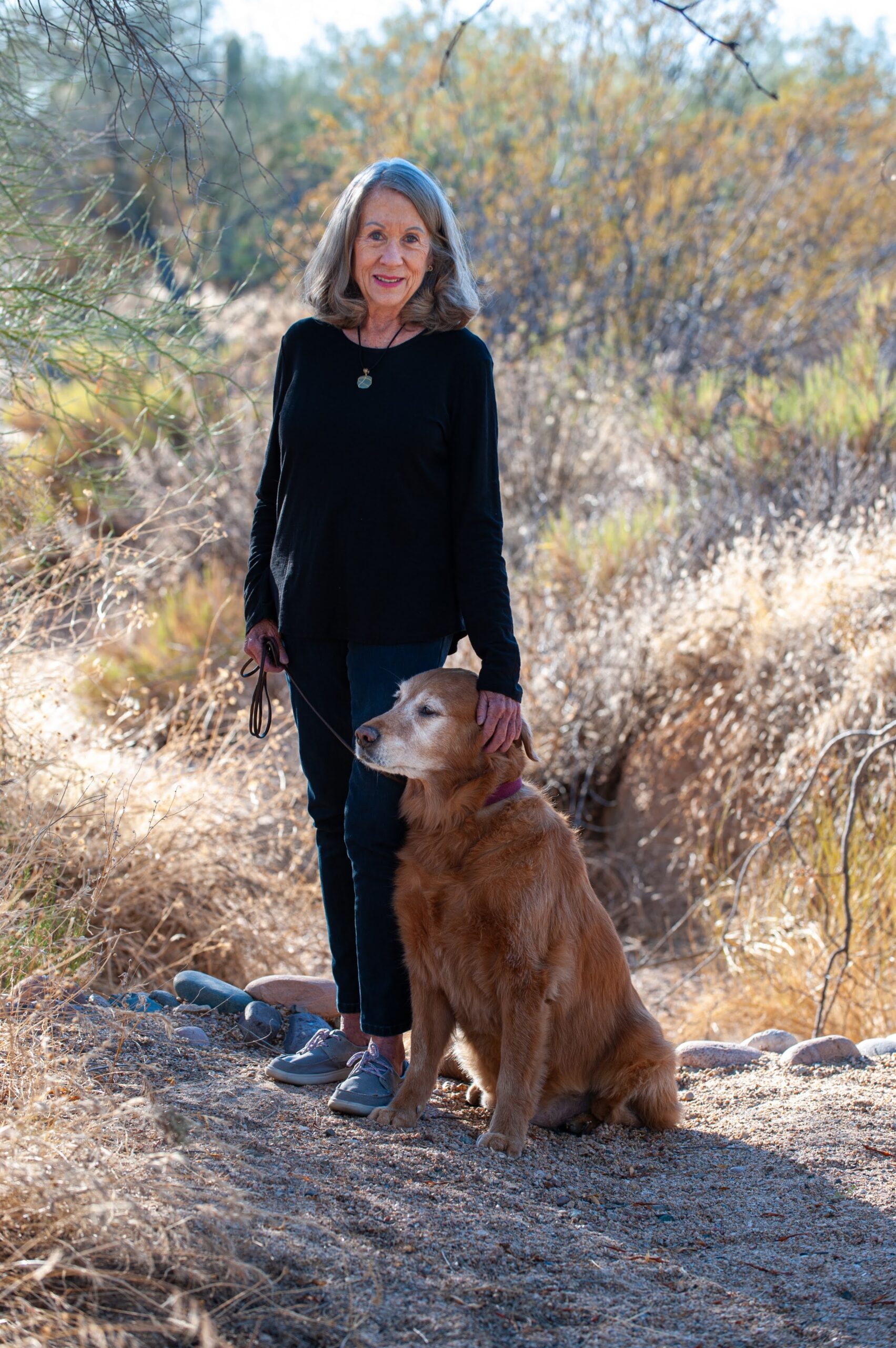 Resiliency Artist » Images Arizona