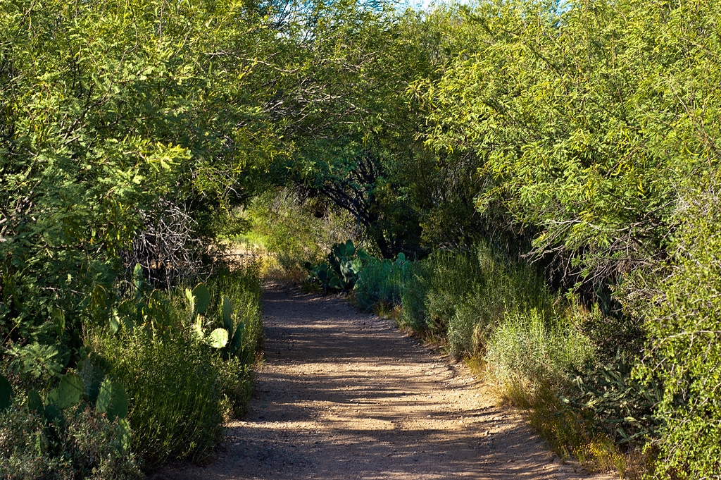 Top Trails » Images Arizona