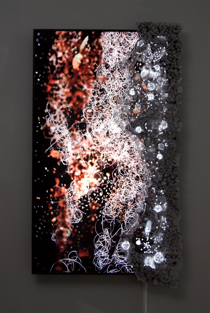 The Art of Algorithms » Images Arizona