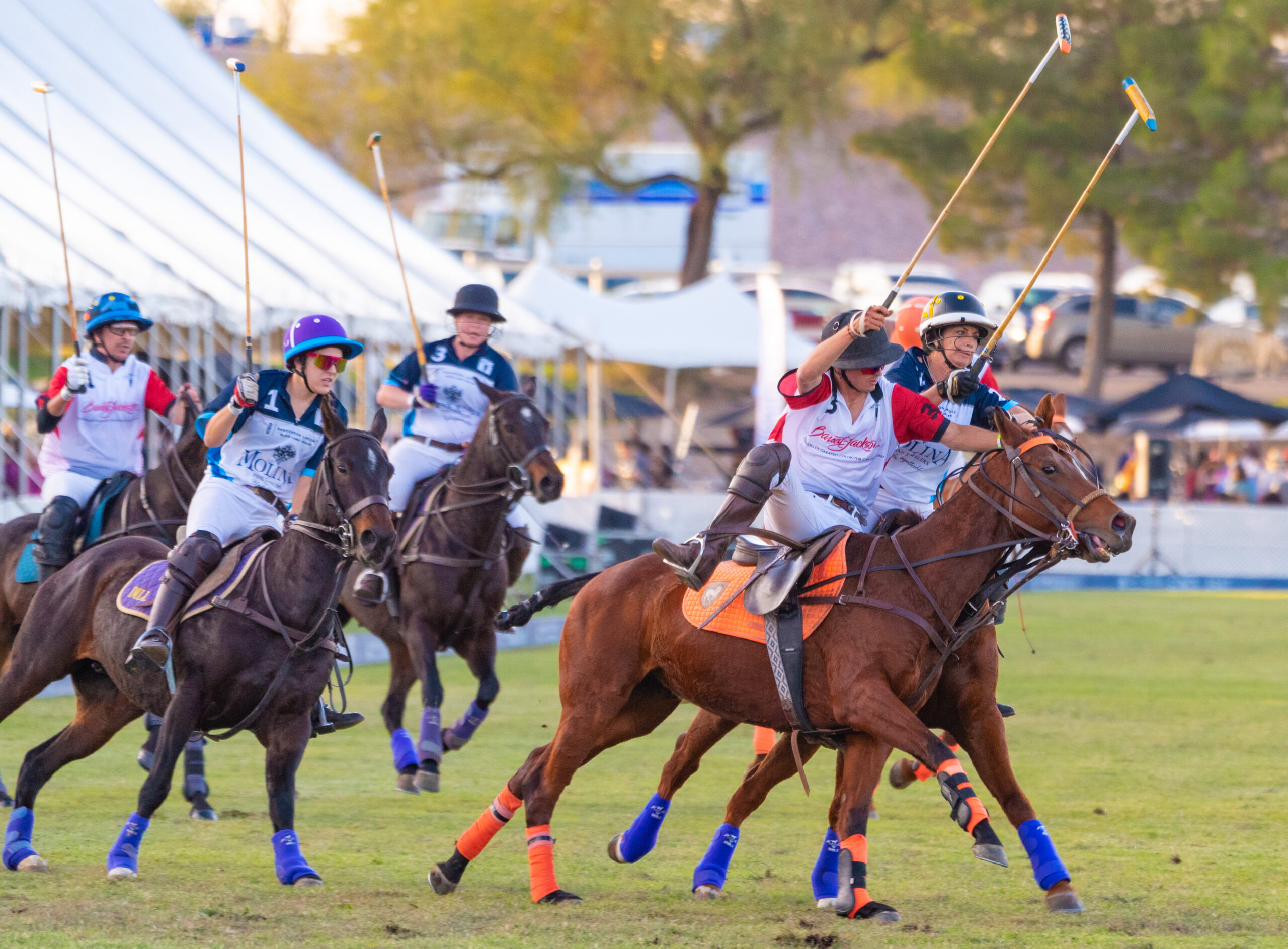 Royal Rumble » Images Arizona